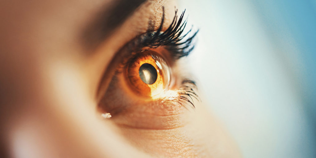 Skipton Opticians | Designer Glasses & Contact Lens Specialists